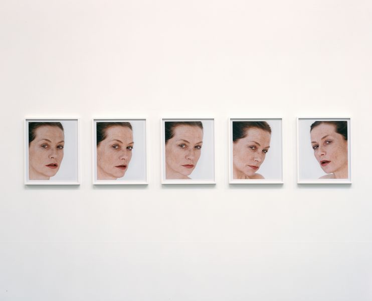 Exhibitions — Roni Horn Portrait of an Image - Roni Horn | Hauser & Wirth
